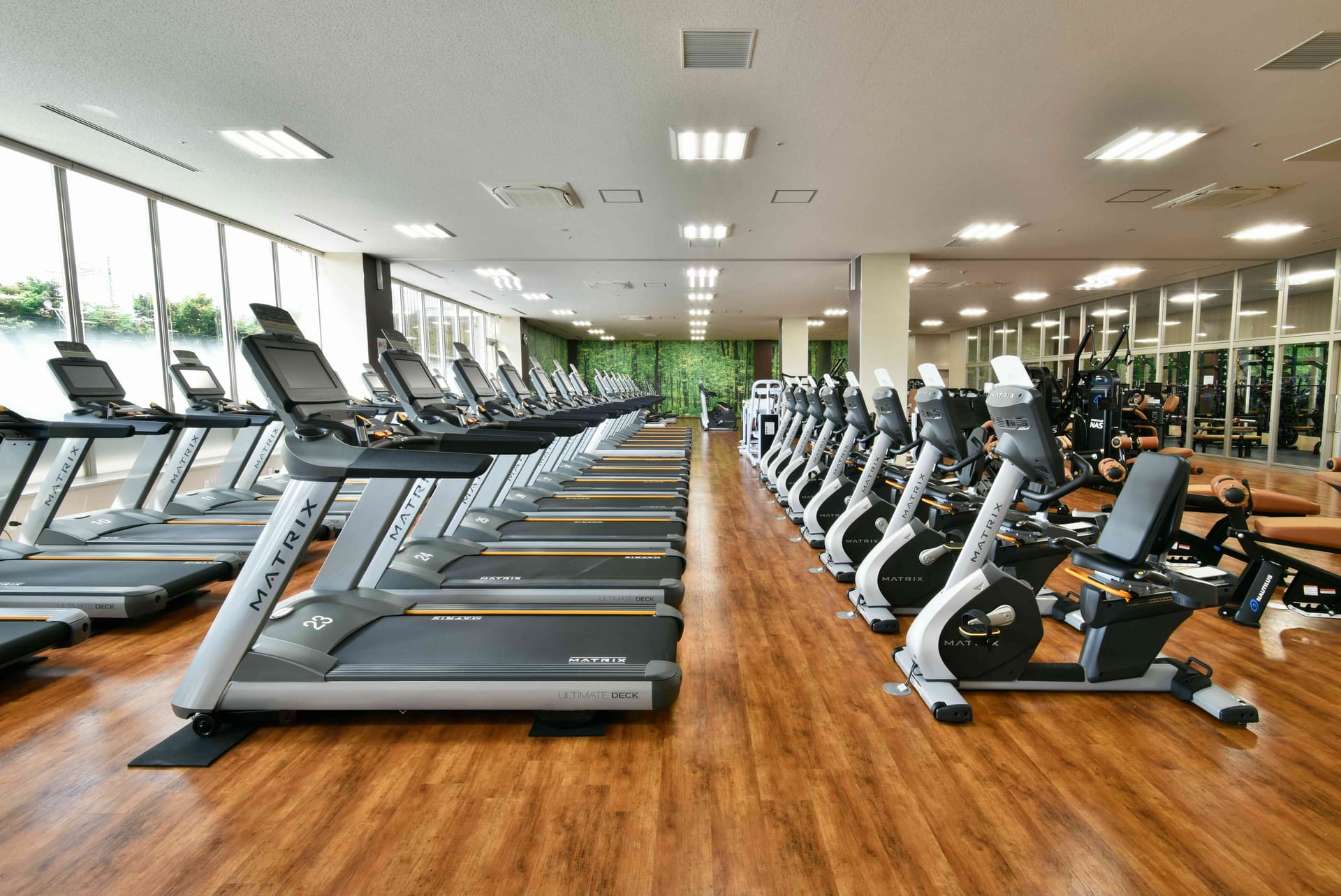 スポーツクラブNAS高尾 / 東京都八王子市 / 高尾駅 | GYYM (都度利用サービス)