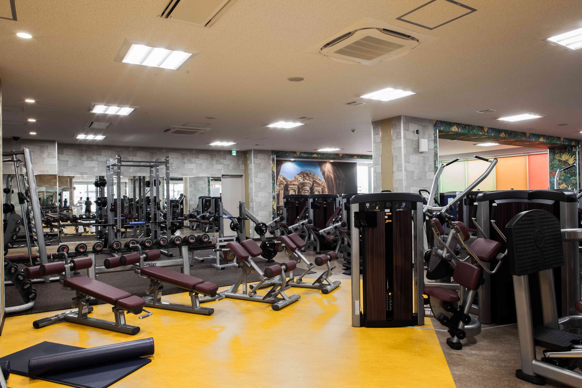 スポーツクラブNAS篠崎 / 東京都江戸川区 / 篠崎駅 | GYYM (都度利用サービス)